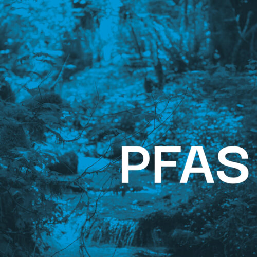 40 years of expertise | Mabarex