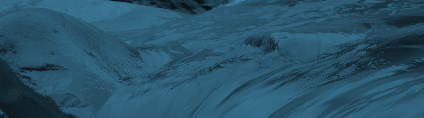 image 4 (5) | Mabarex